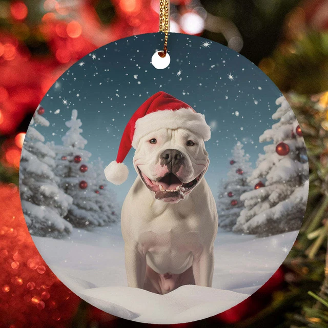 Vesco Cute Dogo Argentino Dog Santa Hat Snow Winter Christmas Ornament ...