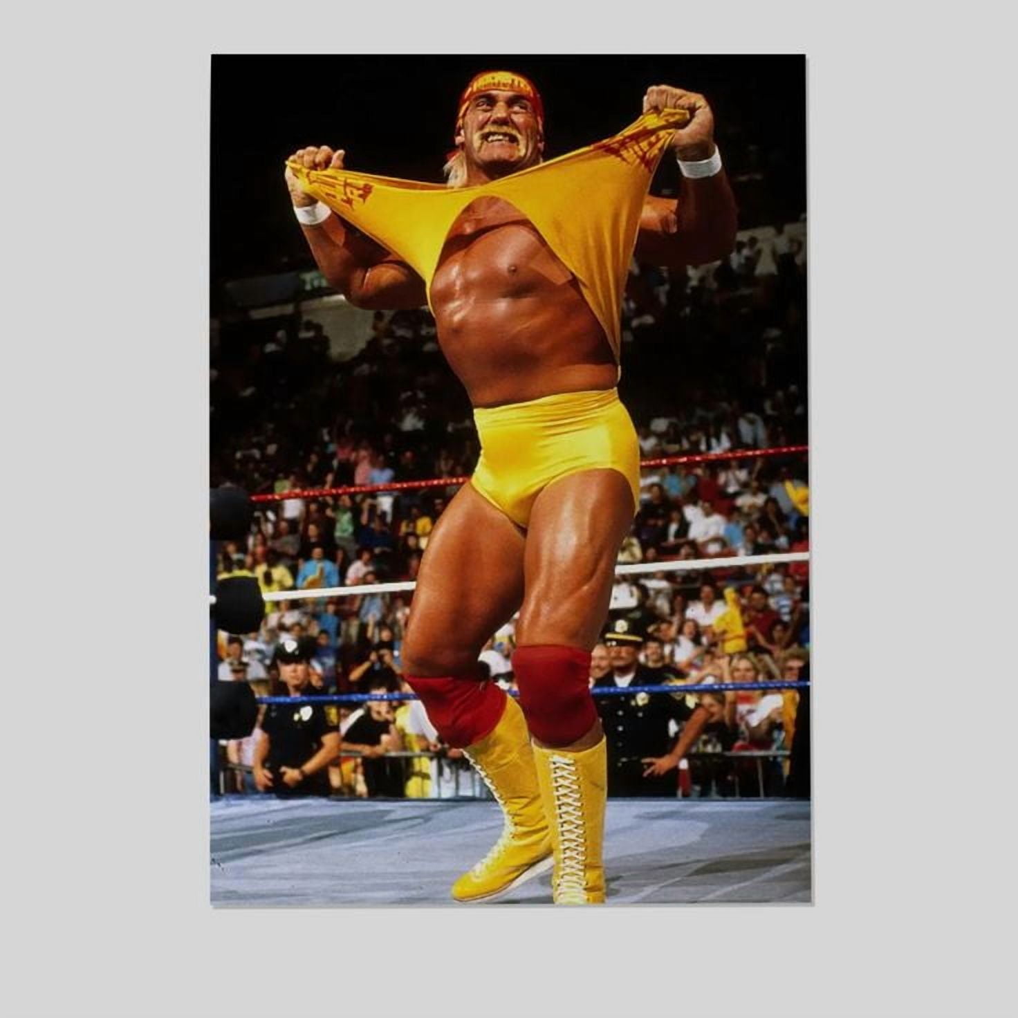 Vesco Vintage Poster Rip Hulk Hogan Poster – Iconic 80S Wrestling Art ...