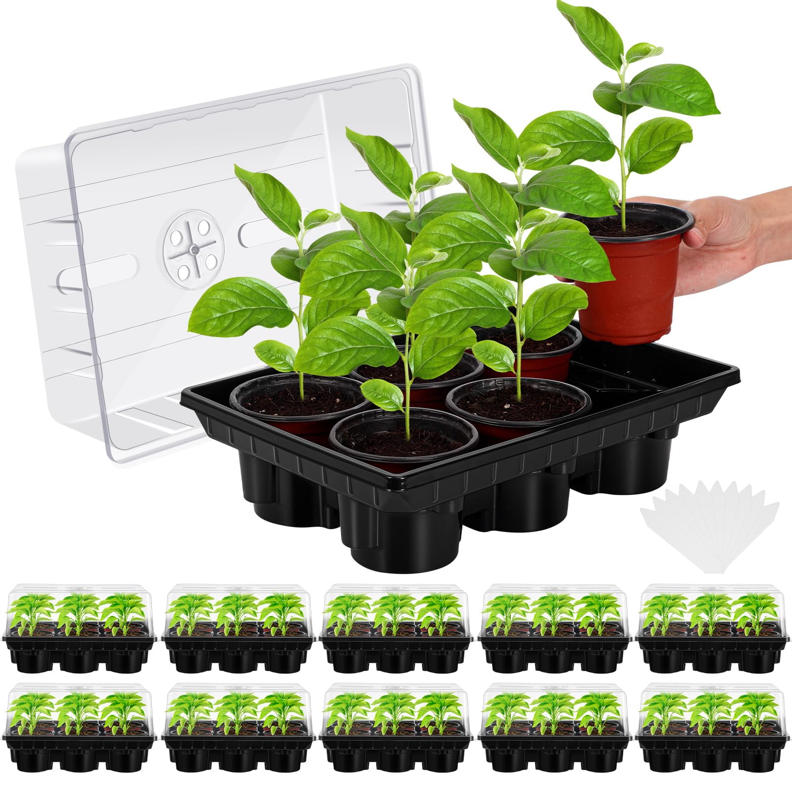 Vesici 10 Pack Seed Starter Tray AIS1 Kit Seedling Starter Trays with 60 Pcs 4 Inch Nursery Pots ...
