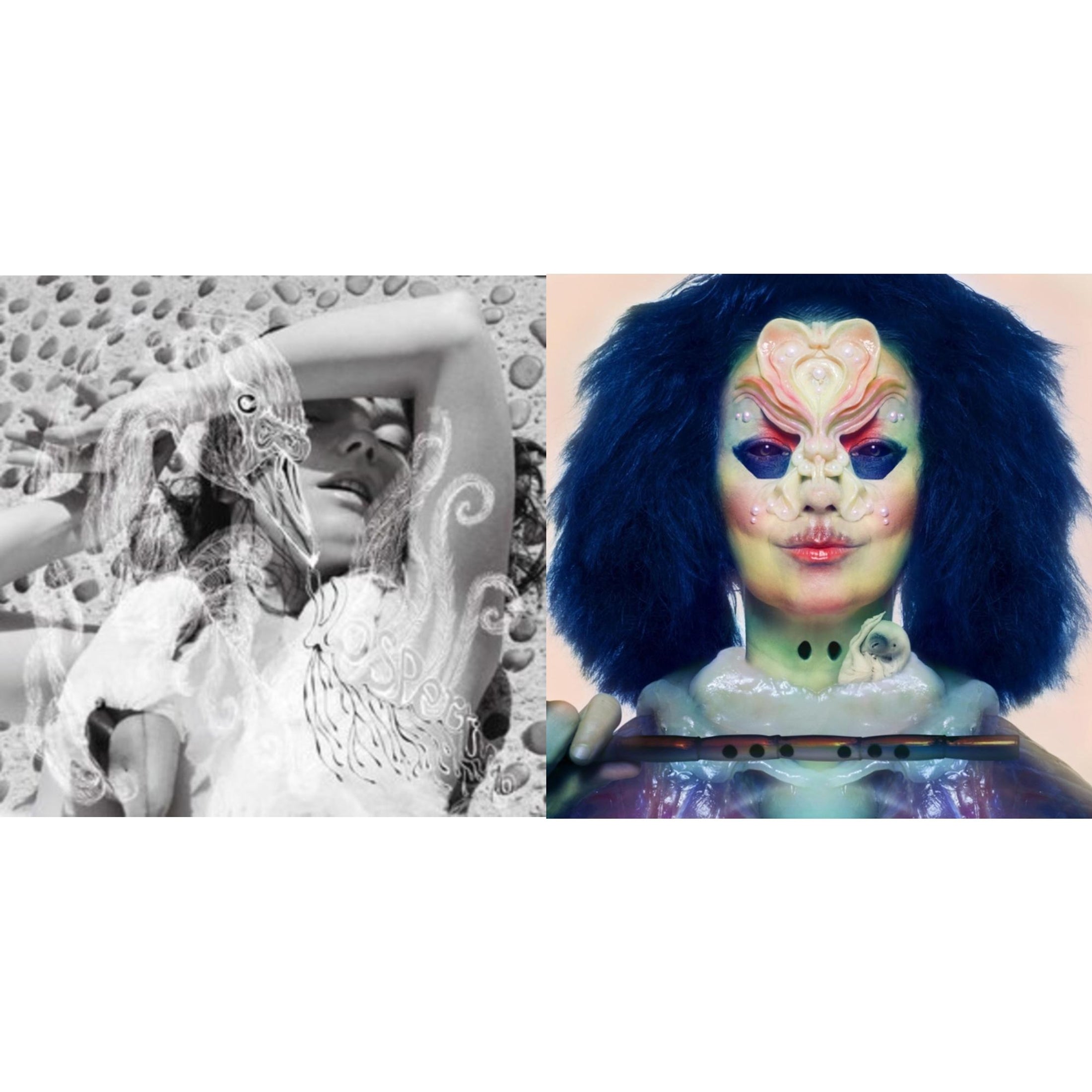 Vespertine & Utopia [LP Vinyl Bundle] - Walmart.com