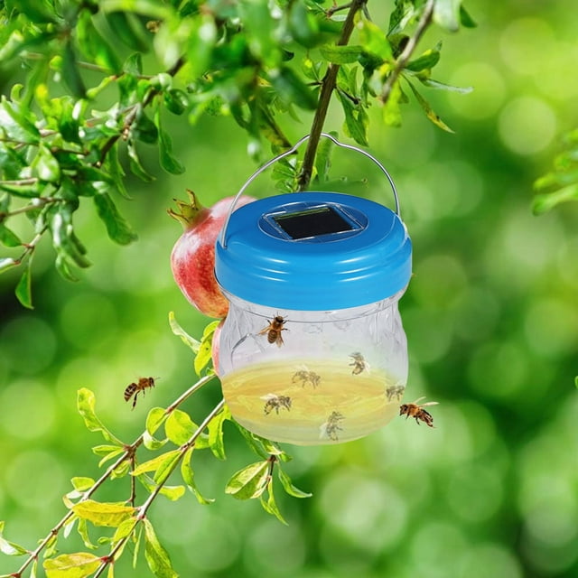 Vespid Wile Outdoor Hanging Vespid Wile For Outside Colourful Wile ...