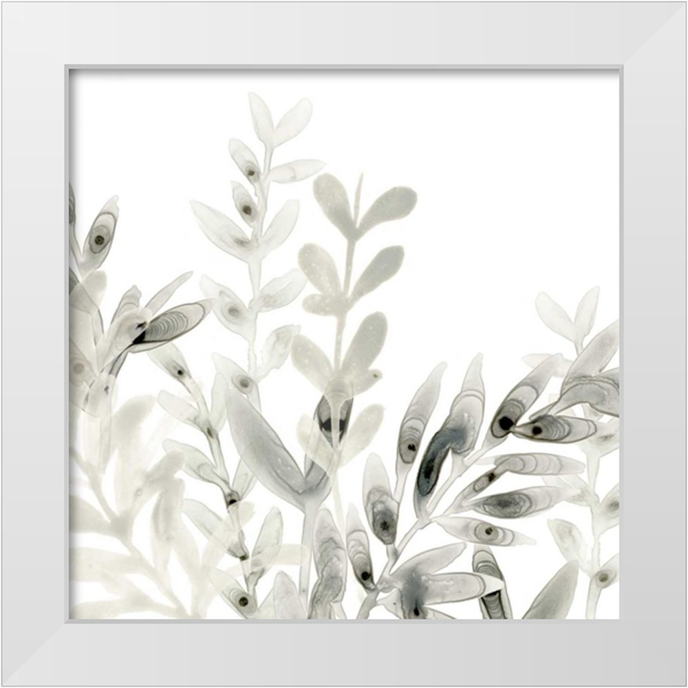 Vess, June Erica 15x15 White Modern Wood Framed Museum Art Print Titled ...