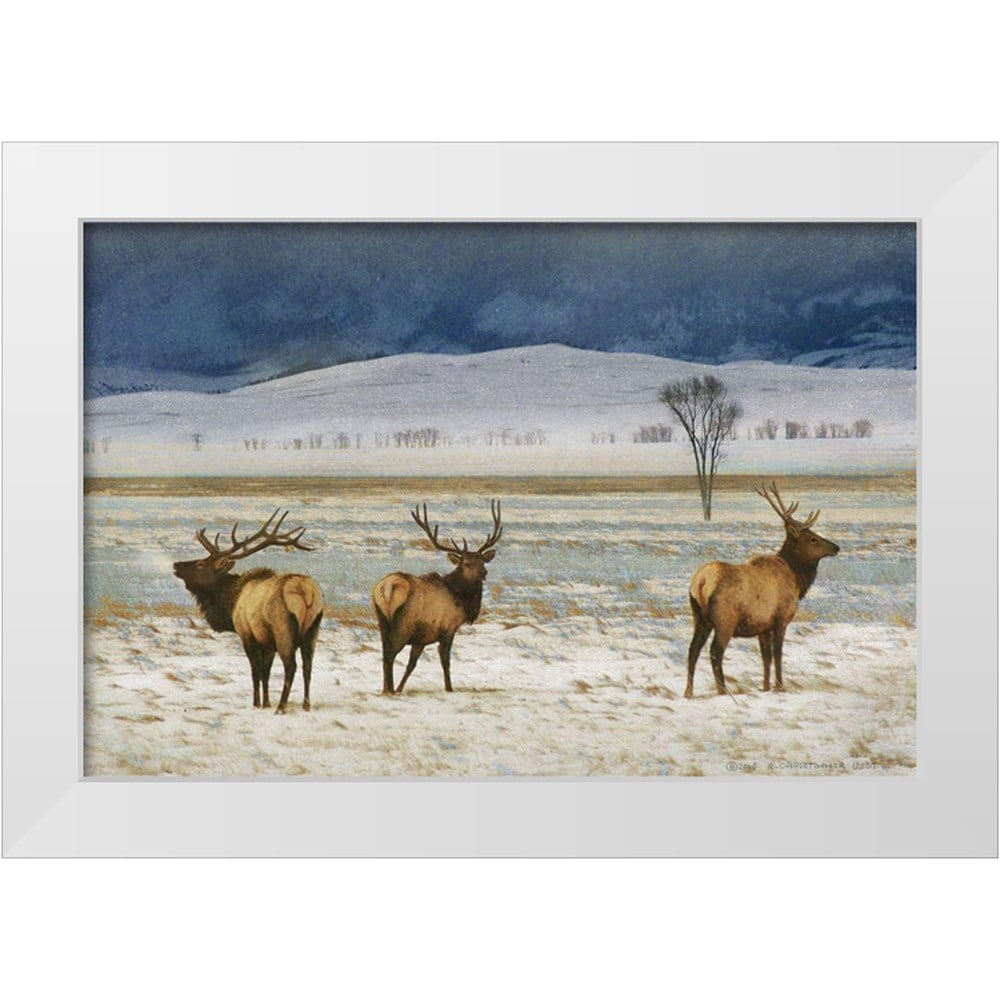 Vest, Chris 14x11 White Modern Wood Framed Museum Art Print Titled ...