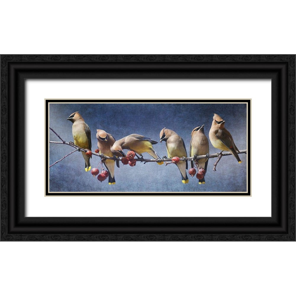 Vest, Chris 24x13 Black Ornate Wood Framed with Double Matting Museum ...