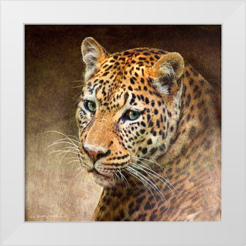 Vest, Chris 26x26 White Modern Wood Framed Museum Art Print Titled ...