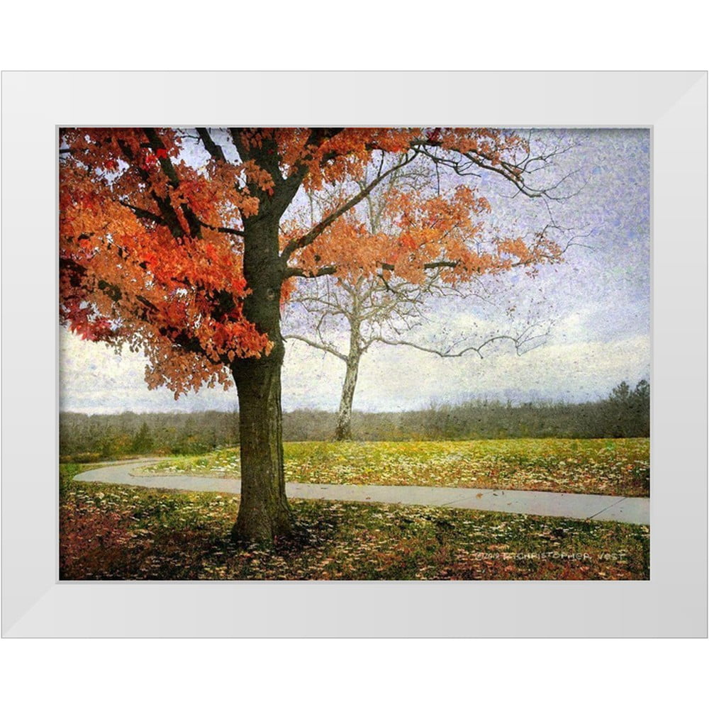 Vest, Christopher 24x19 White Modern Wood Framed Museum Art Print ...