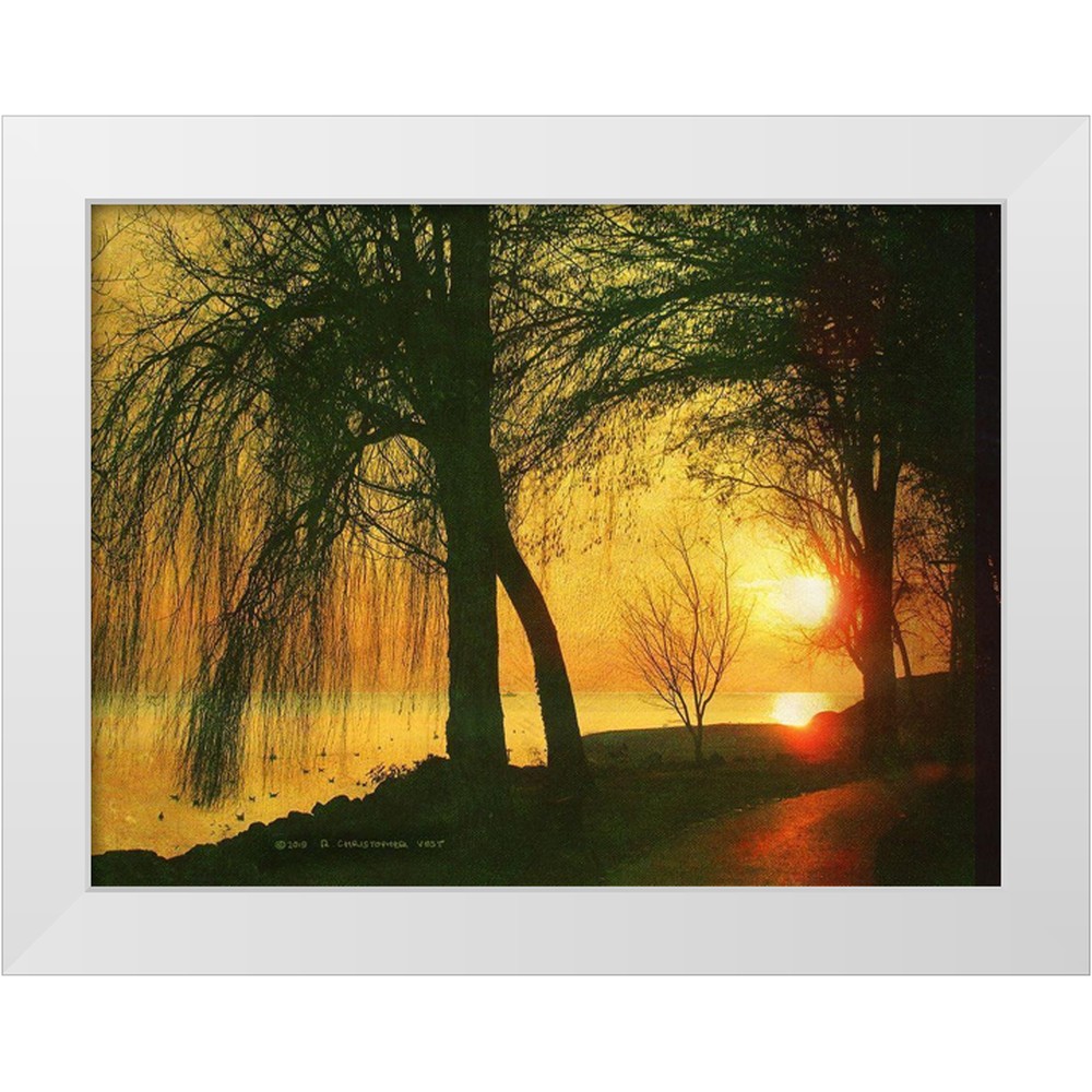 Vest, Christopher 24x19 White Modern Wood Framed Museum Art Print ...
