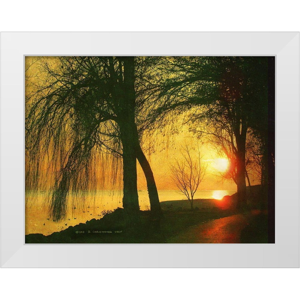 Vest, Christopher 32x25 White Modern Wood Framed Museum Art Print ...