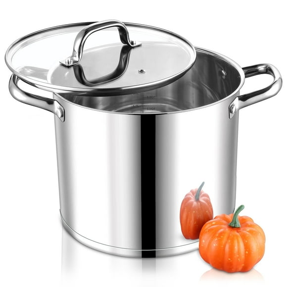 10 Qt Pot