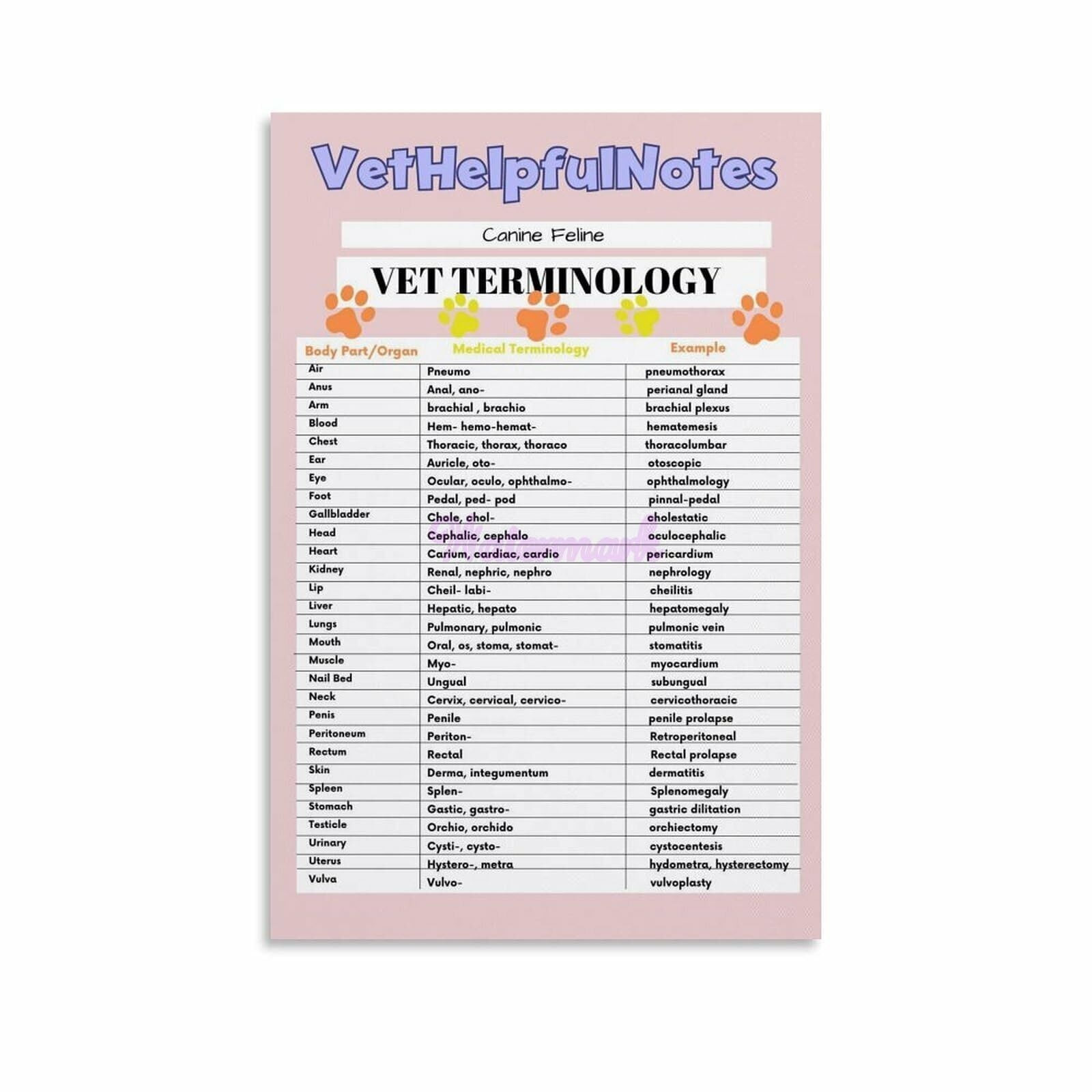 Vet Terminology Pet Hospital Posters Canvas Painting Posters And Prints ...