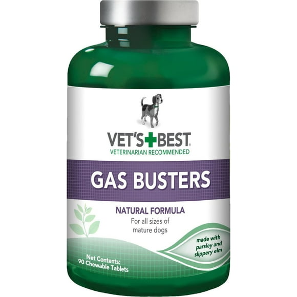 Upset Stomach Relief Dogs