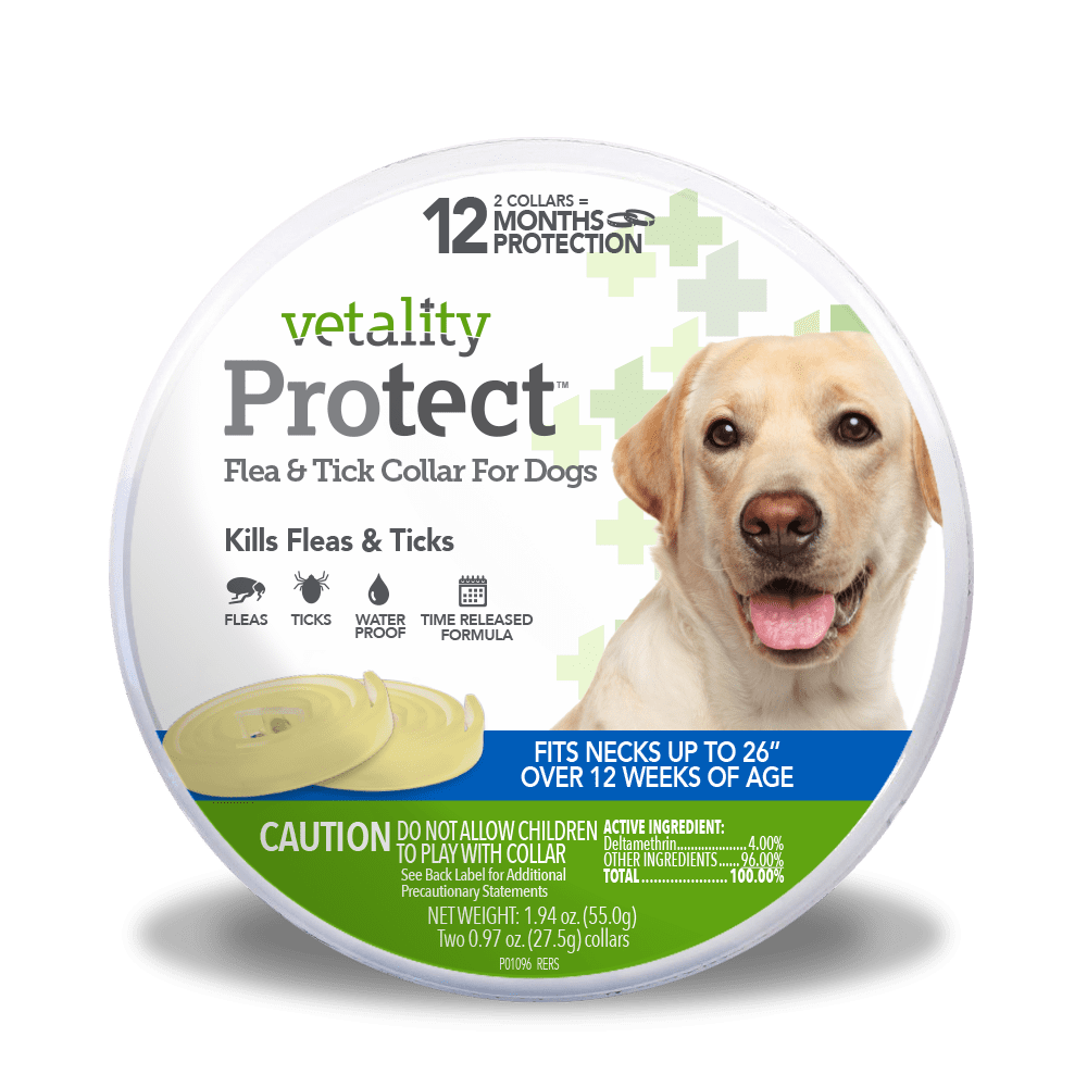 Vetality Protect Flea & Tick Collar for Dogs 2 ct - Walmart.com