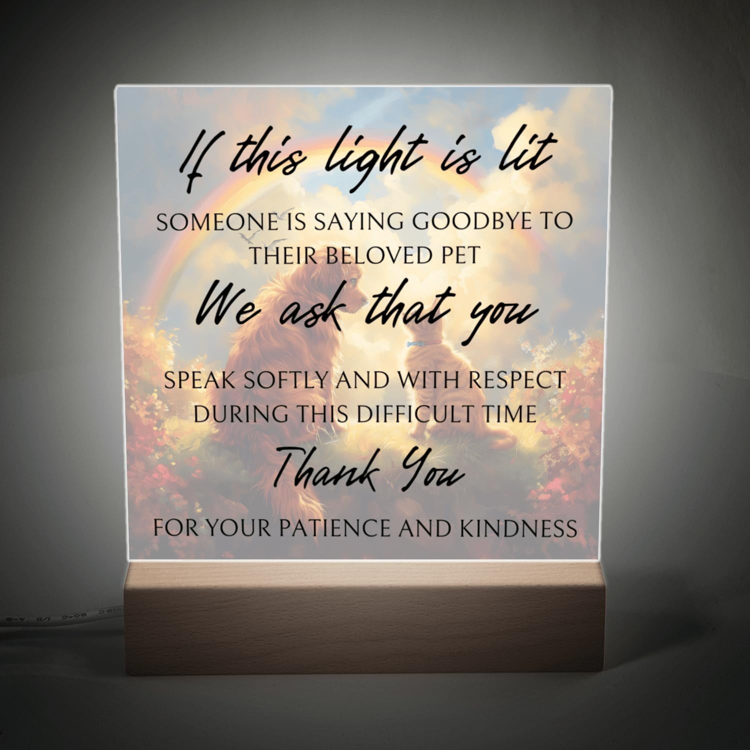 Veterinarian Euthanasia Office Sign, Vet Office Decor With Illuminated ...
