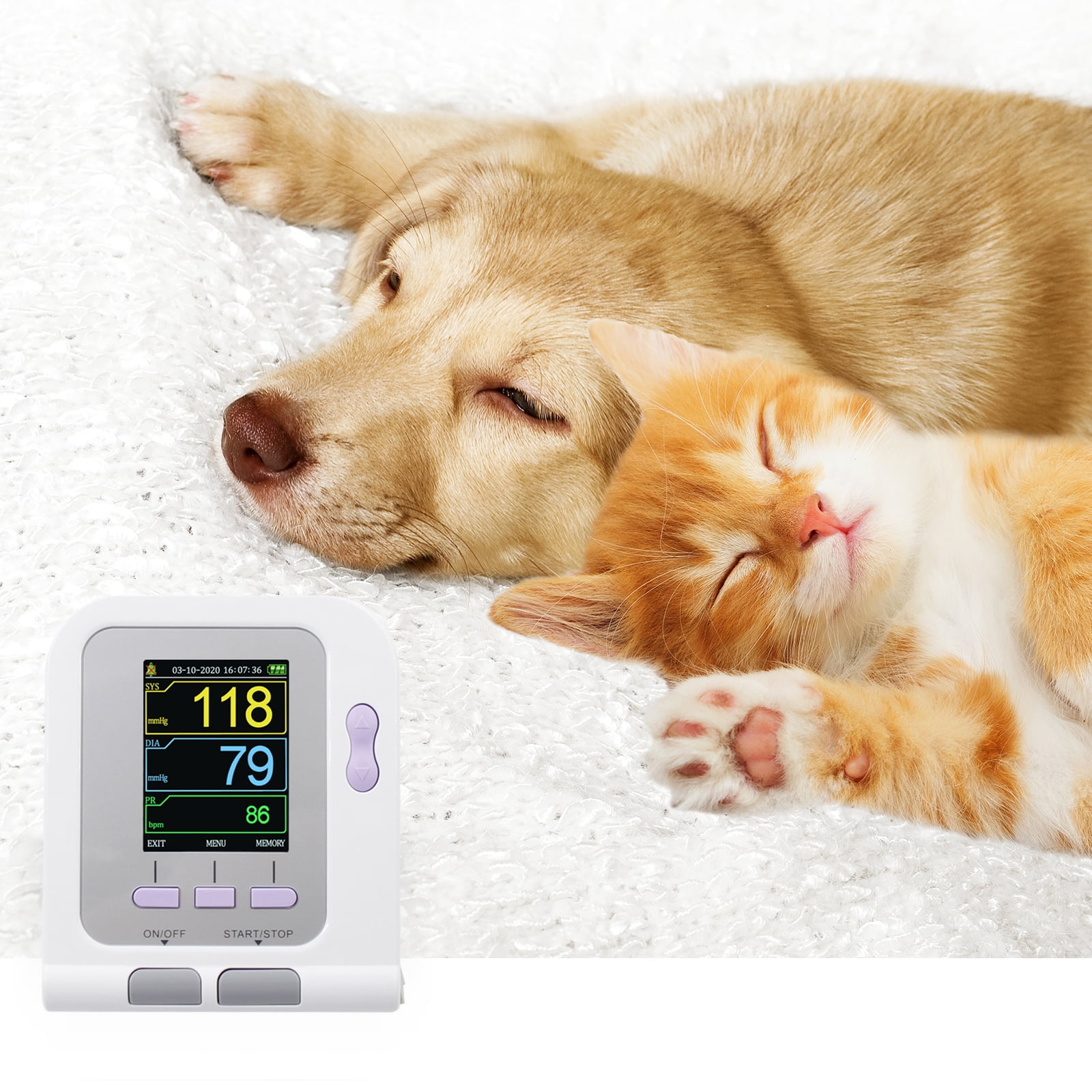 Veterinary Blood Pressure Monitor 6-11cm cuff Digital LCD Display Pets ...