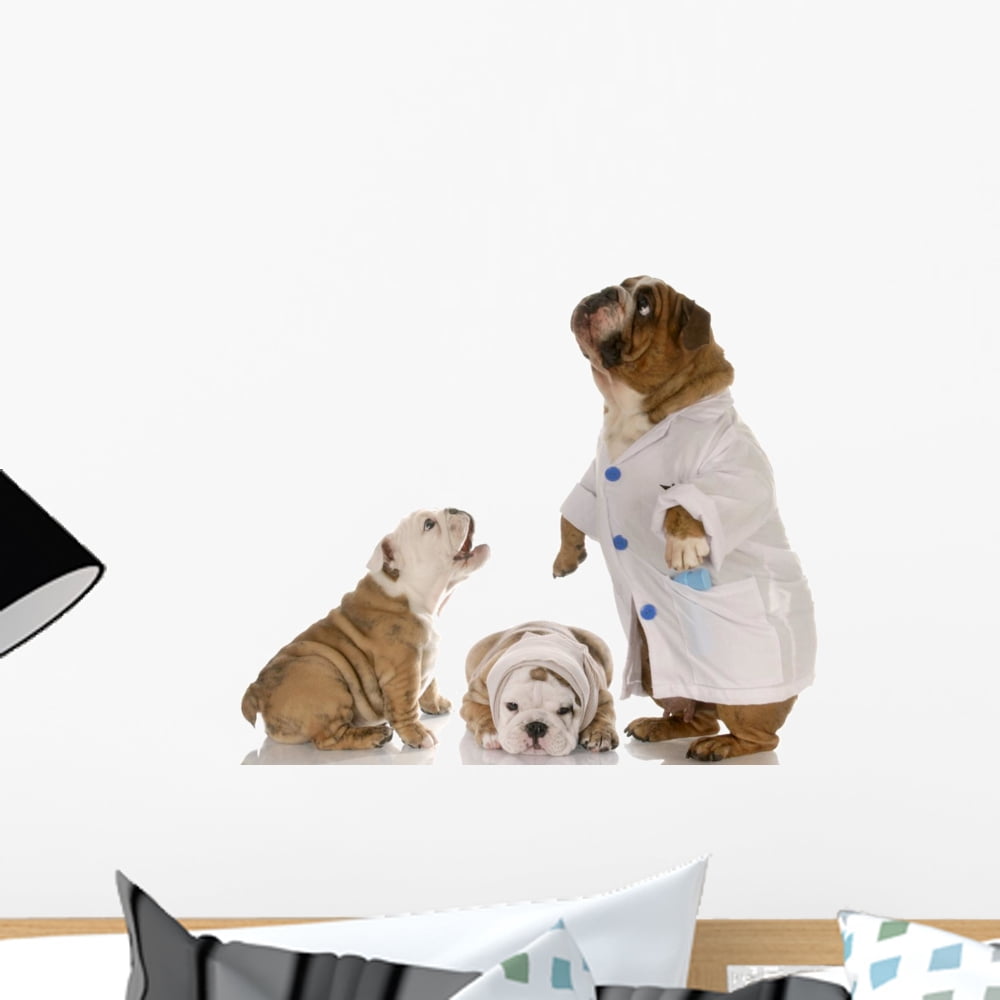 Veterinary Care Wall Mural by Wallmonkeys Peel and Stick Graphic (18 in ...