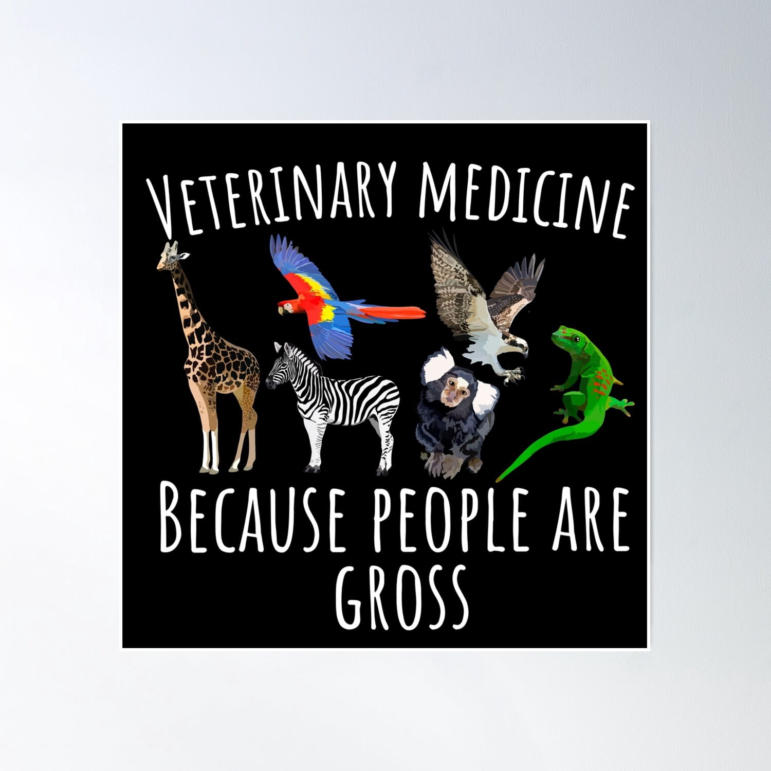 Veterinary Medicine Poster Wall Art, Modern Wall Decor, 24x24 UNFRAMED ...