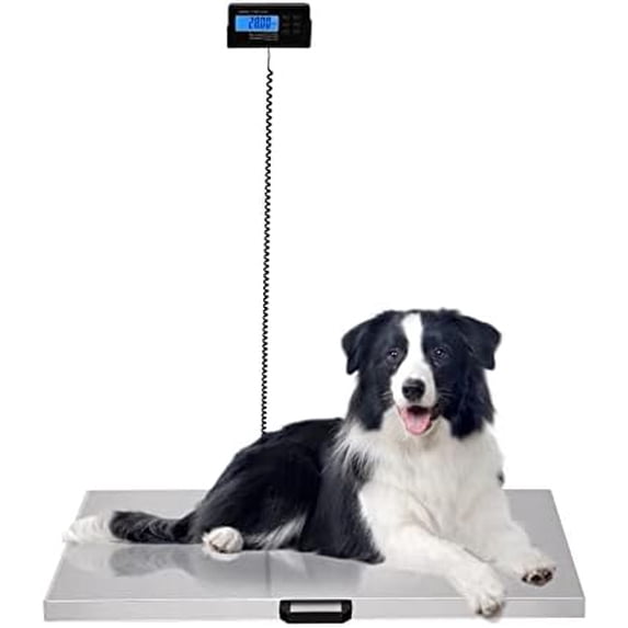 Veterinary Scale, 440LB Digital Livestock Platform Scale Large Pet Vet ...