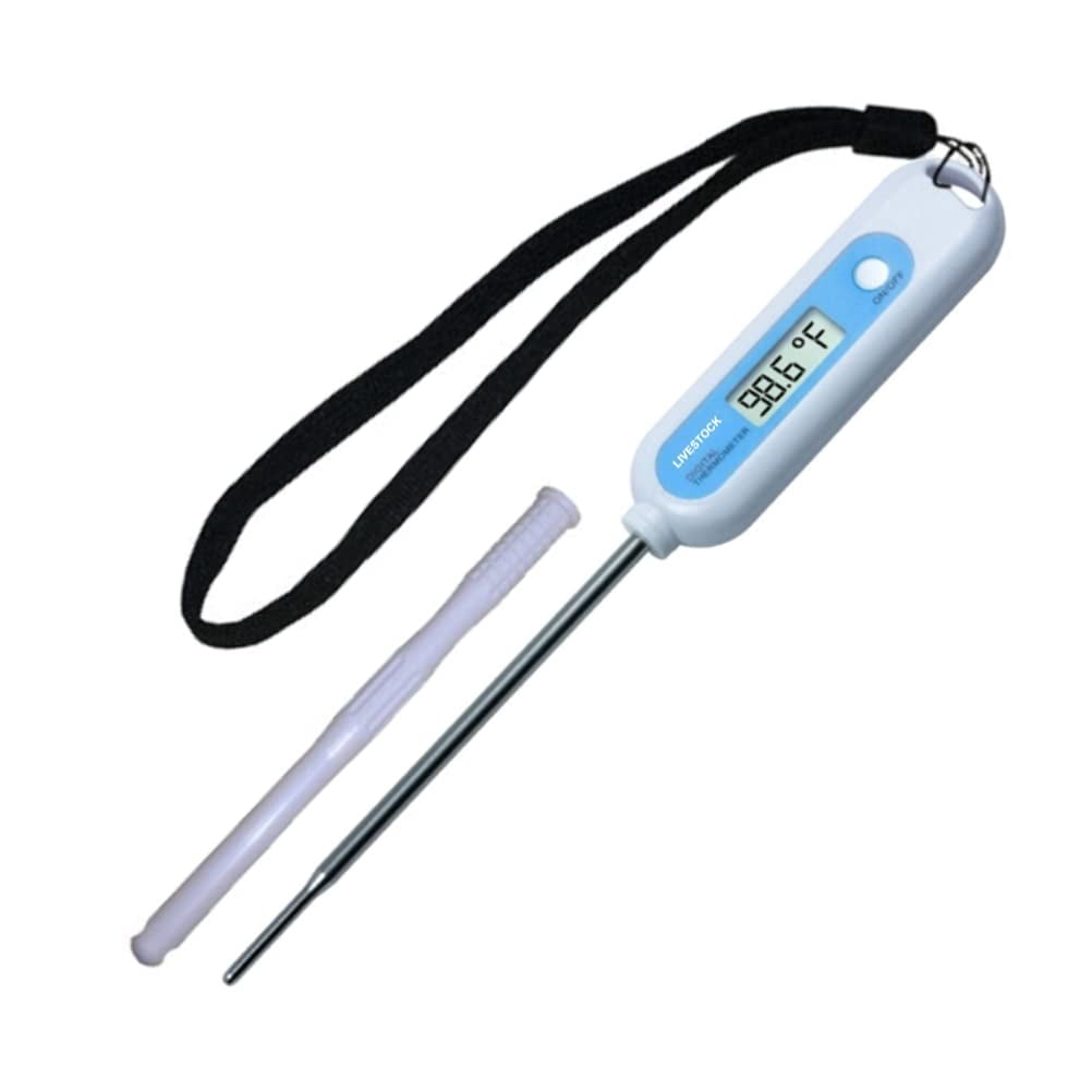 Veterinary Thermometer for Horses and Dogs. Fast, Accurate Temps in 8 ...