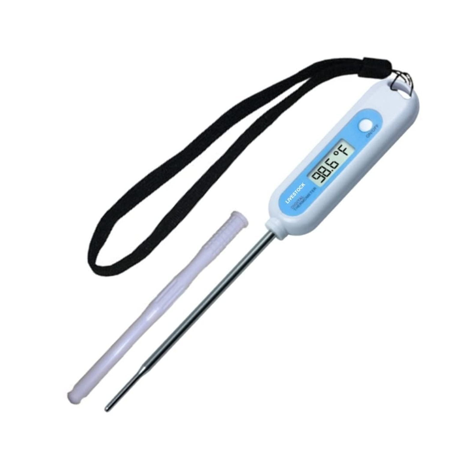 Veterinary Thermometer for Horses and Dogs. Fast, Accurate Temps in 8 ...