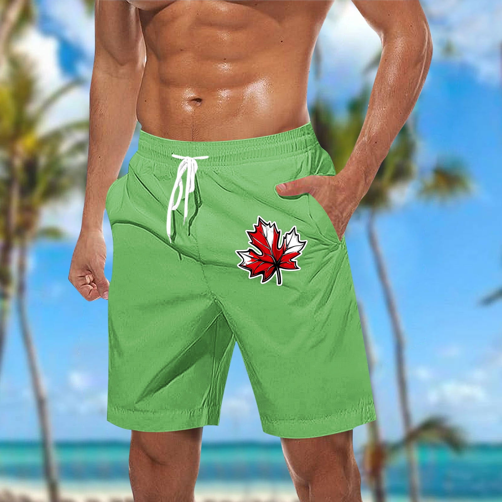 VgaVtl Shorts Men Beach Shorts for Men Plus Size Regular Independence ...