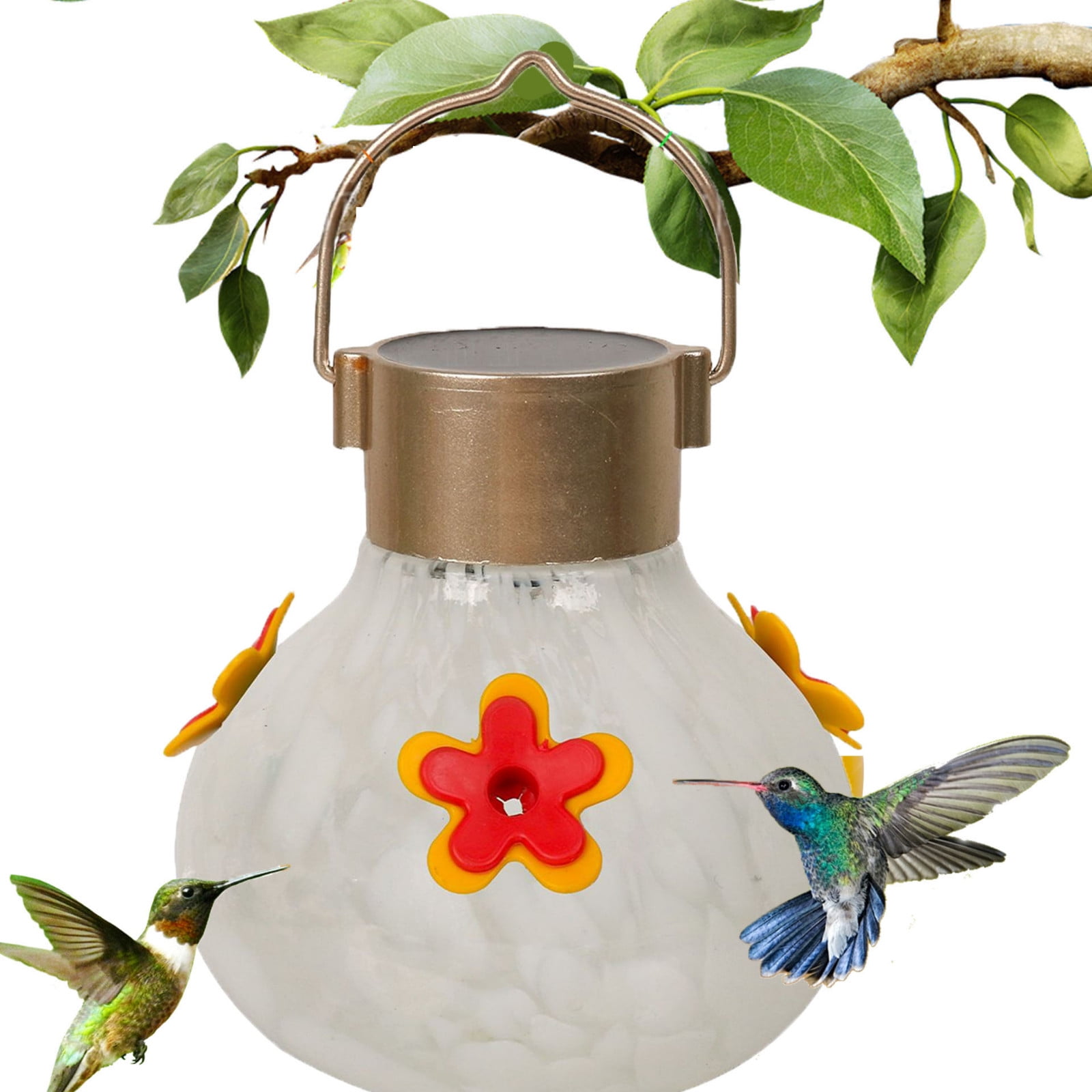 ViYW Solar Powered Bird Feeder Solar Powered Glass Bird Feeder Outdoor ...