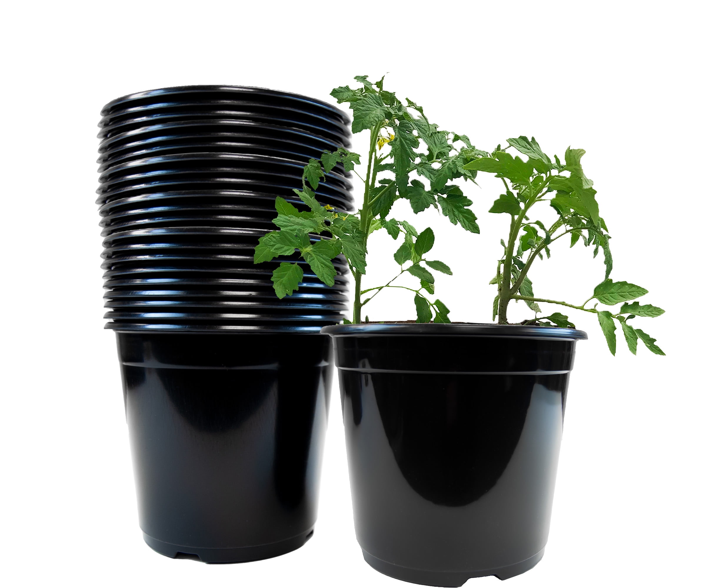 Viagrow Nursery Pots, 2 Gallon, Black, Plastic BPA Free Plant Pots, 9.5 ...