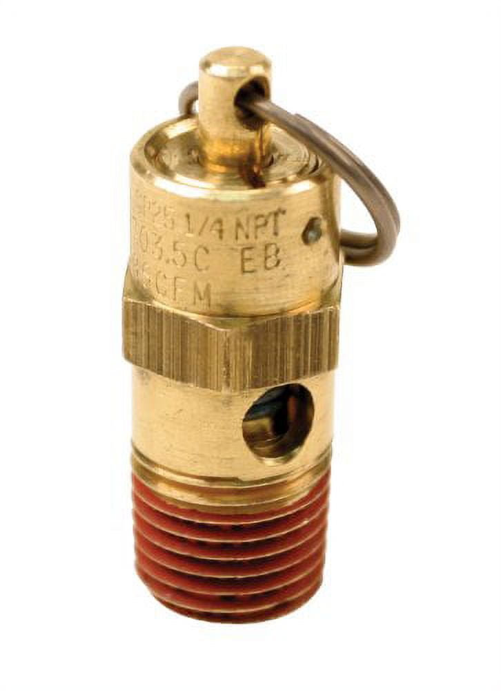 Viair 92250 1/4" Male NPT 250 PSI Hi-Temp Rated Safety Valve, Gold ...