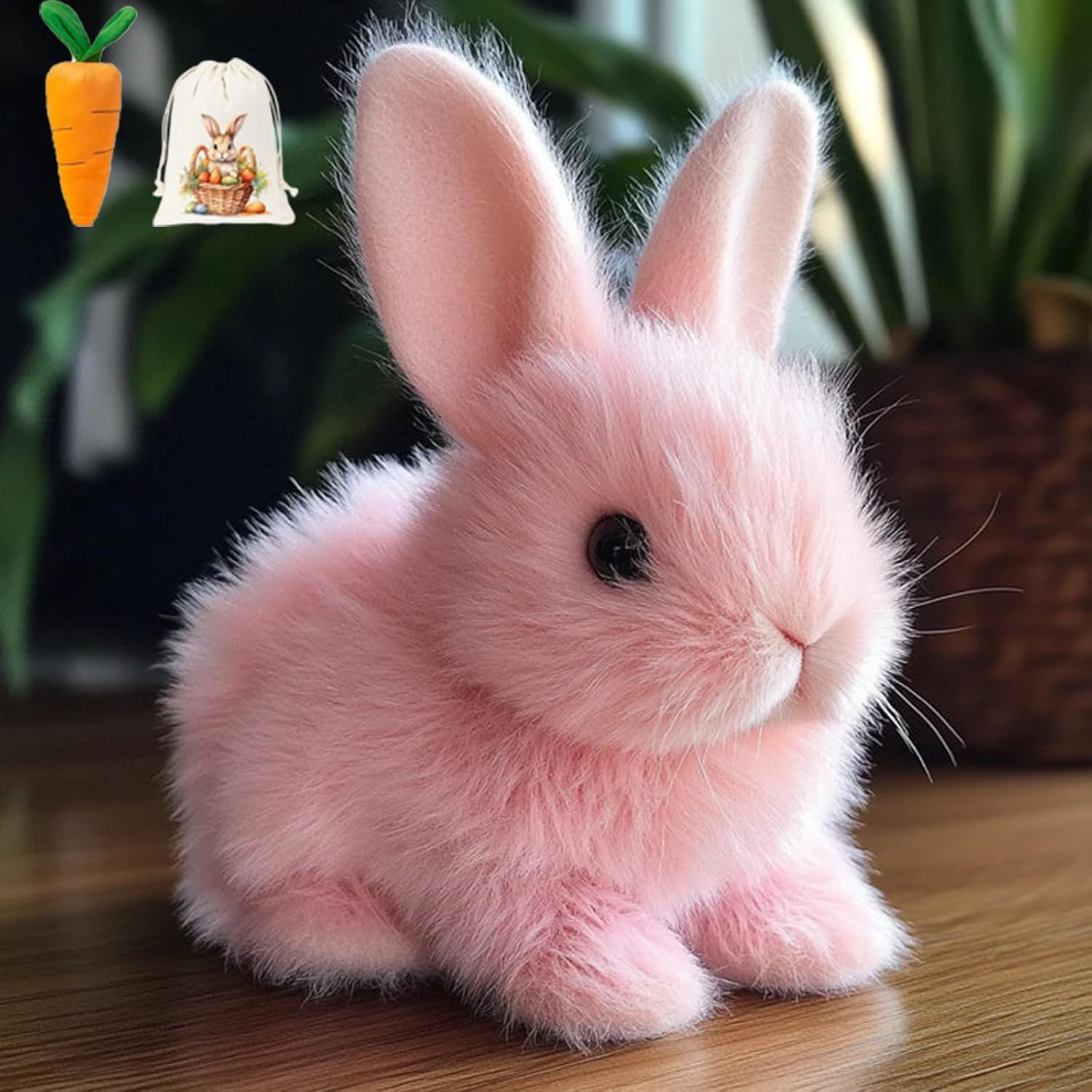 Vianys Bunnypal, Petsboro Bunnypal, Fanyil Sherum Bunnypal, Bundy Bunny ...