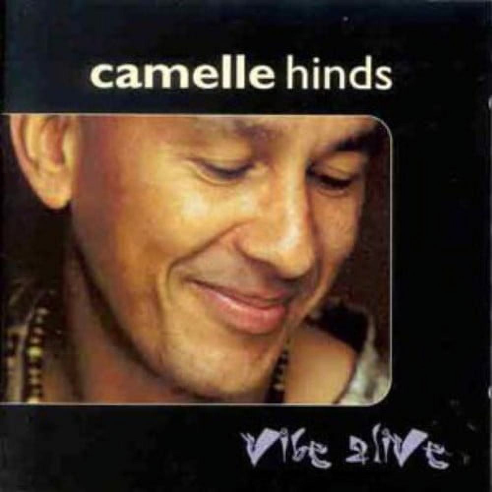 Vibe Alive (Vinyl) - Walmart.com