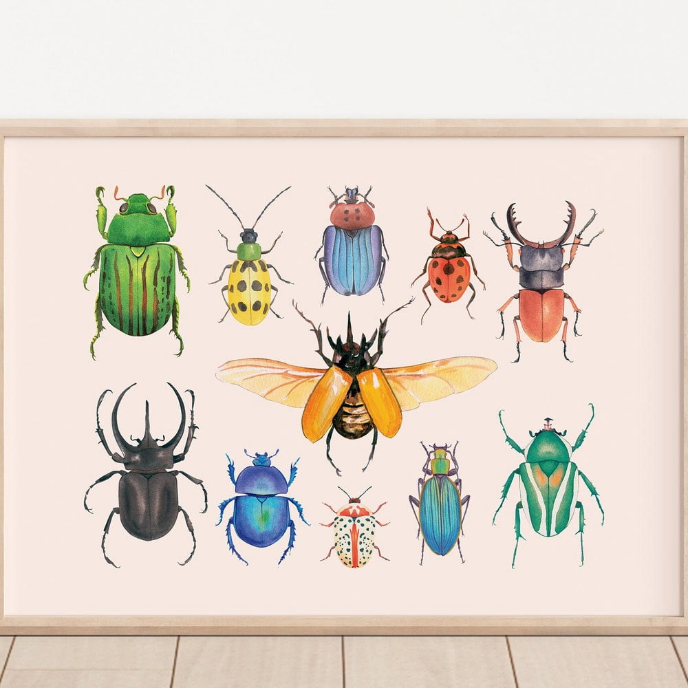 Vibrant Beetles Bugs Insects Poster Watercolor Nature Theme Animals ...
