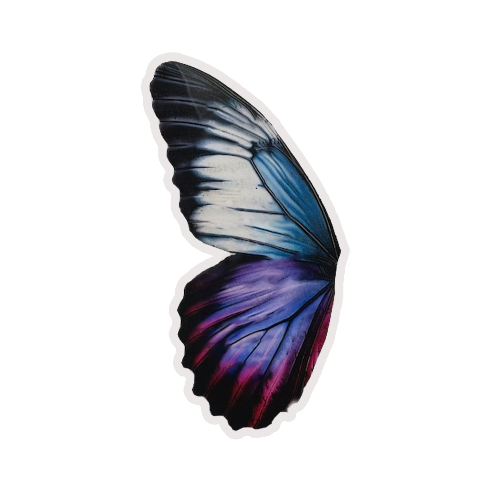 Vibrant Butterfly Wing Sticker High-Quality Vinyl, Weatherproof ...
