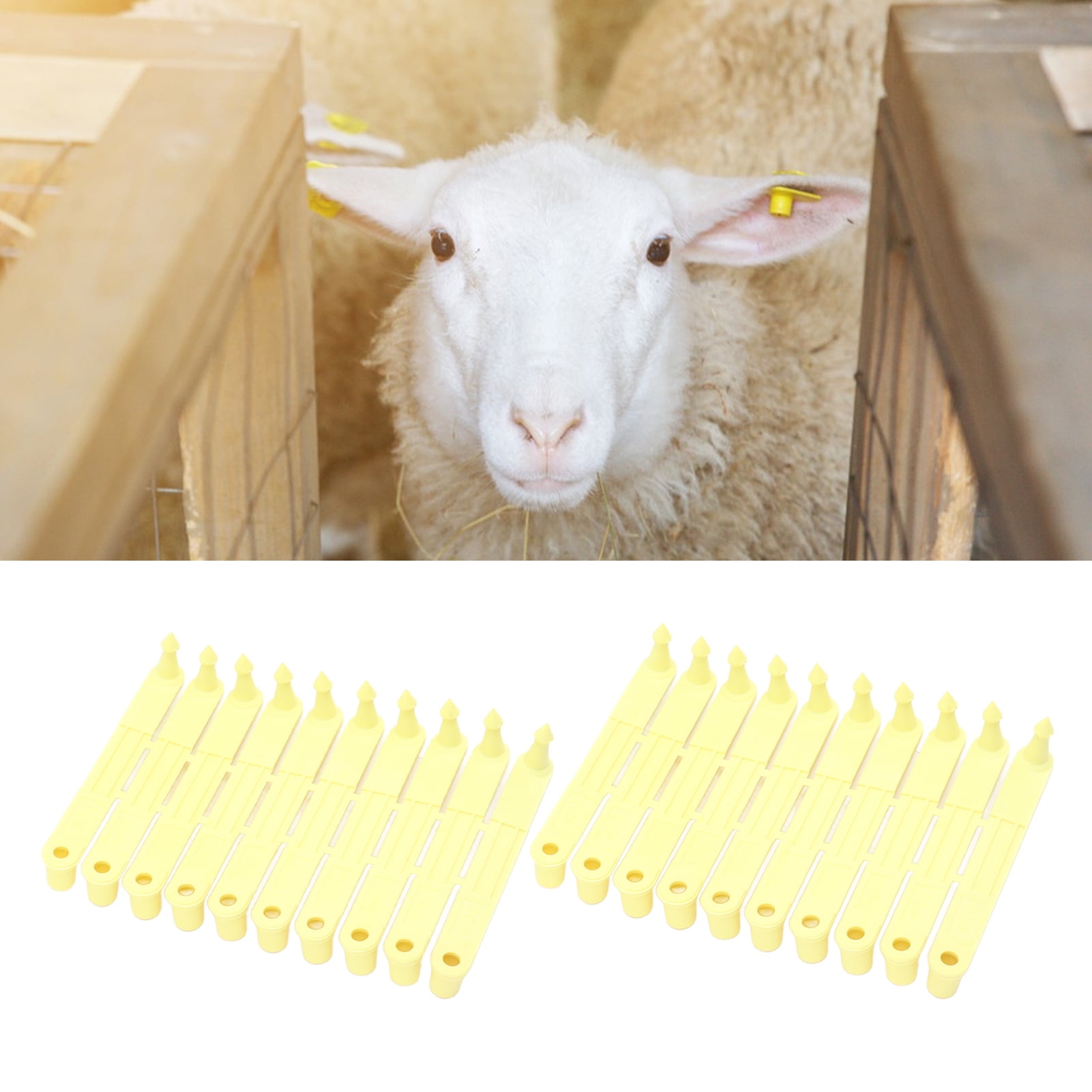 Vibrant Color Animal Ear Tags, Easy Livestock Tracking Management, 20 ...