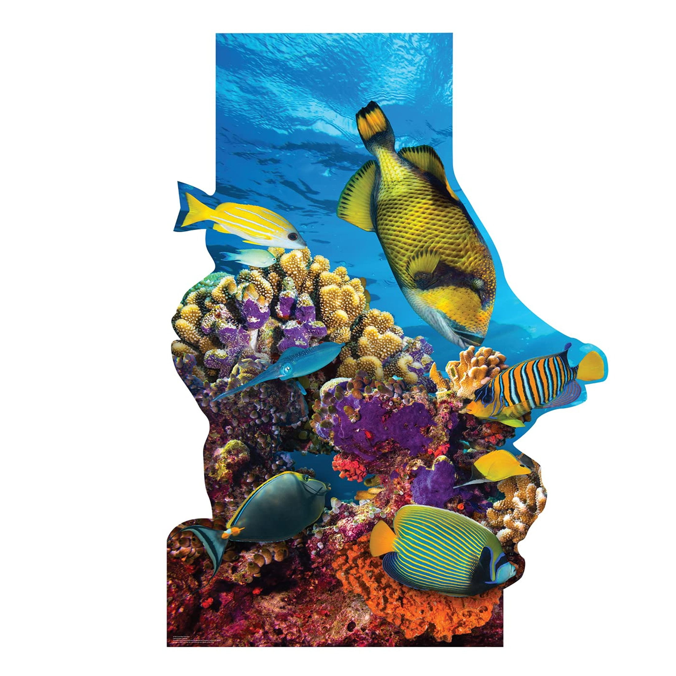 Vibrant Coral Reef Life Size Cutout for Events and Decor - Bring ...
