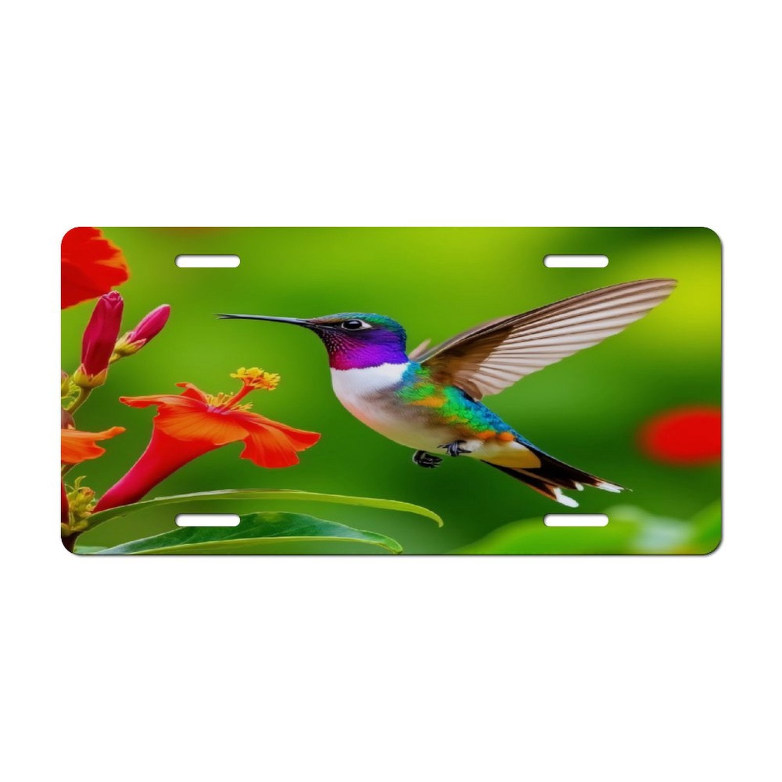 Vibrant Hummingbird Floral Print Car Decorative Front License Plate ...