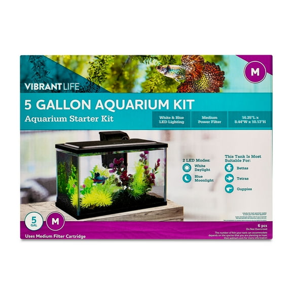 5 Gallon Fish Tank Kits