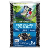 Vibrant Life Songbird Select Wild Bird Seed, 20 lb Bag - Walmart.com