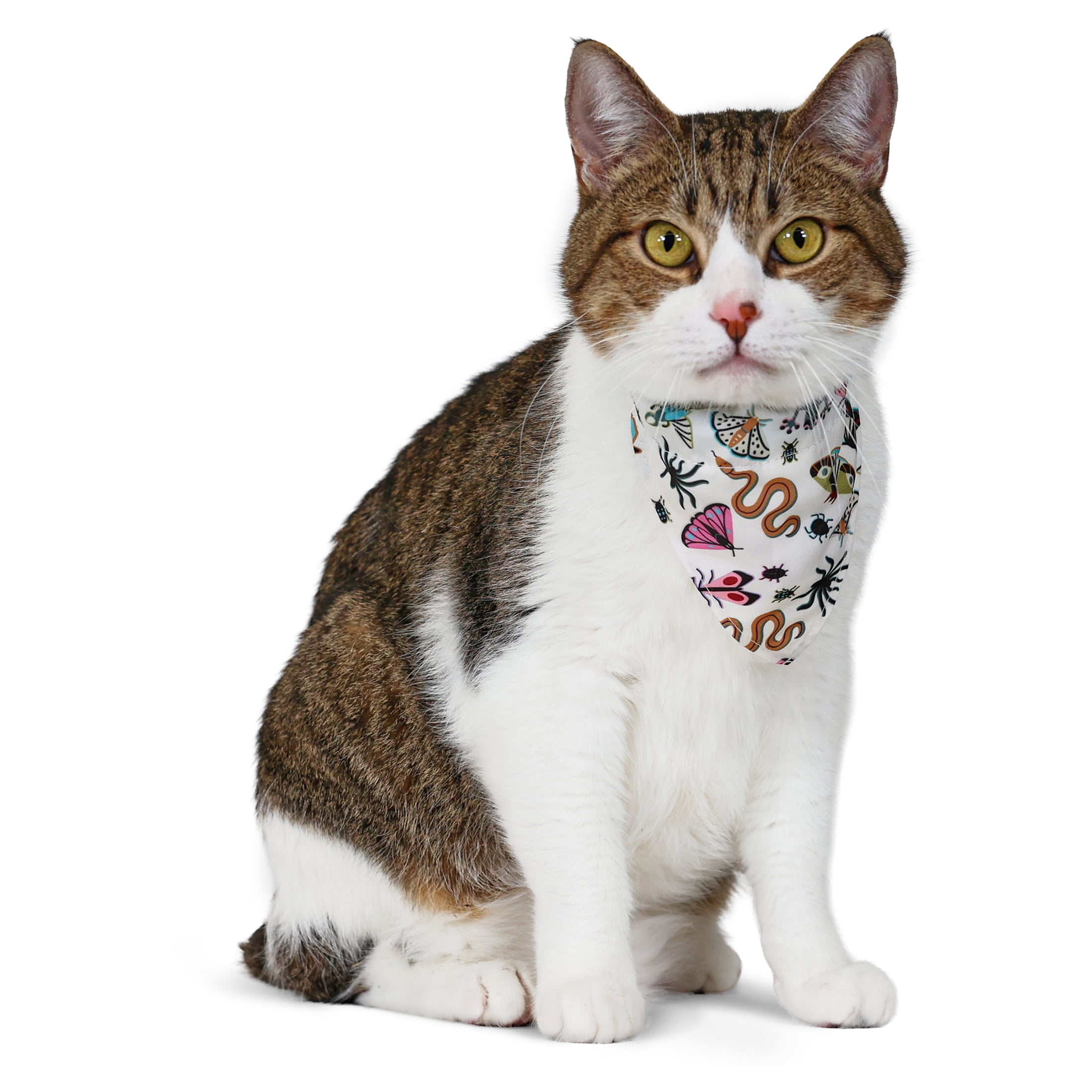 Vibrant Life Halloween Cat Collar, 3 Piece Set with Bandana Slider ...