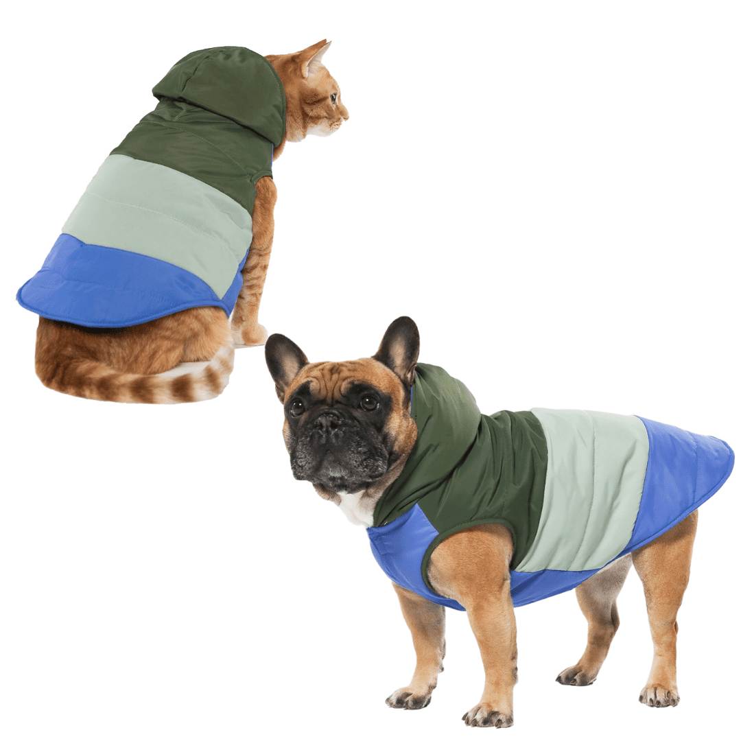 Vibrant Life Dog Clothes: Hooded Jacket for Fall & Winter, Green & Blue ...