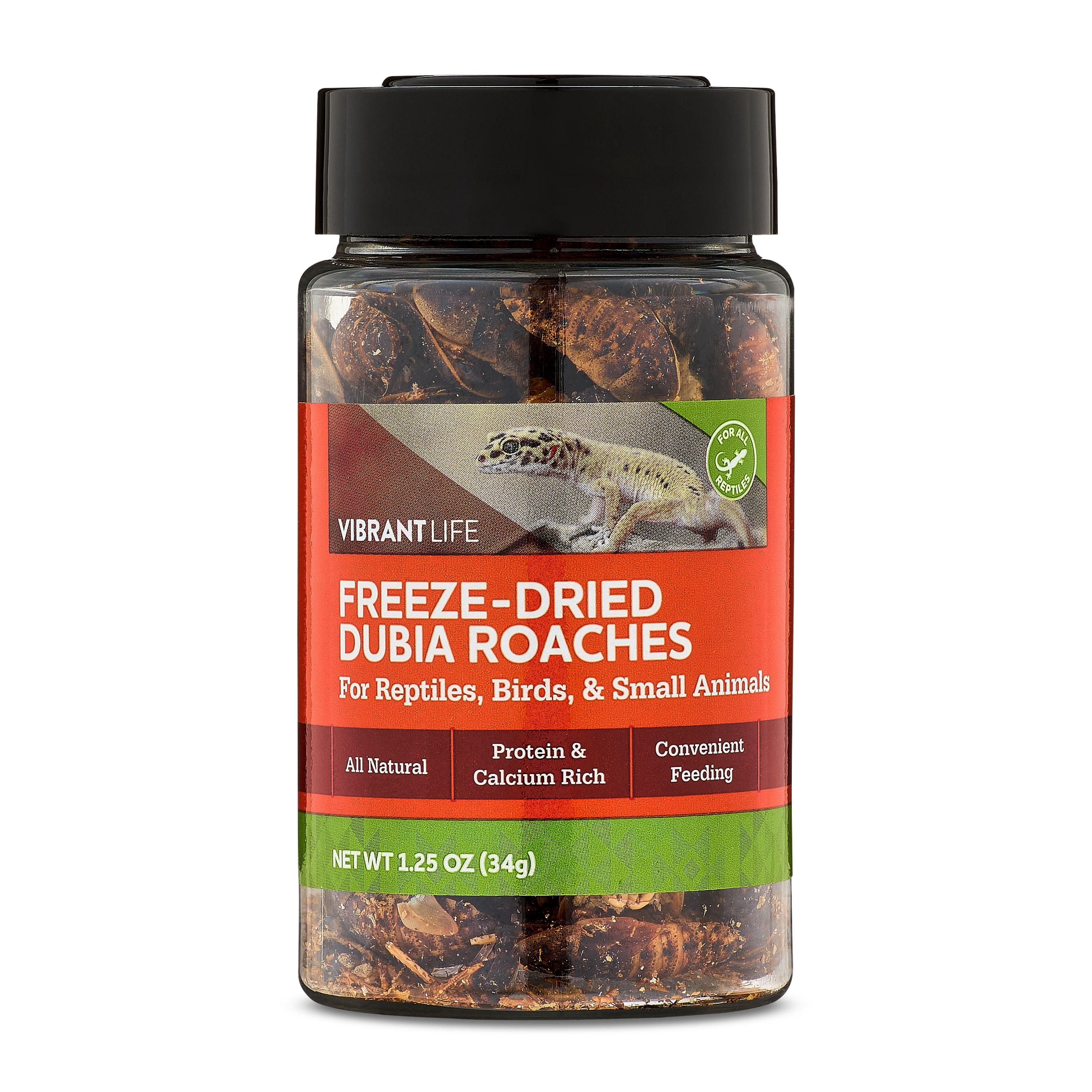Vibrant Life Freeze-Dried Dubia Roaches for Reptiles, Birds & Small ...