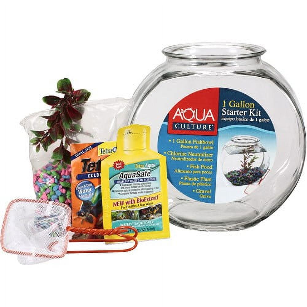 Vibrant Life Glass Fish Bowl with Starter Kit, 1 Gallon - Walmart.com