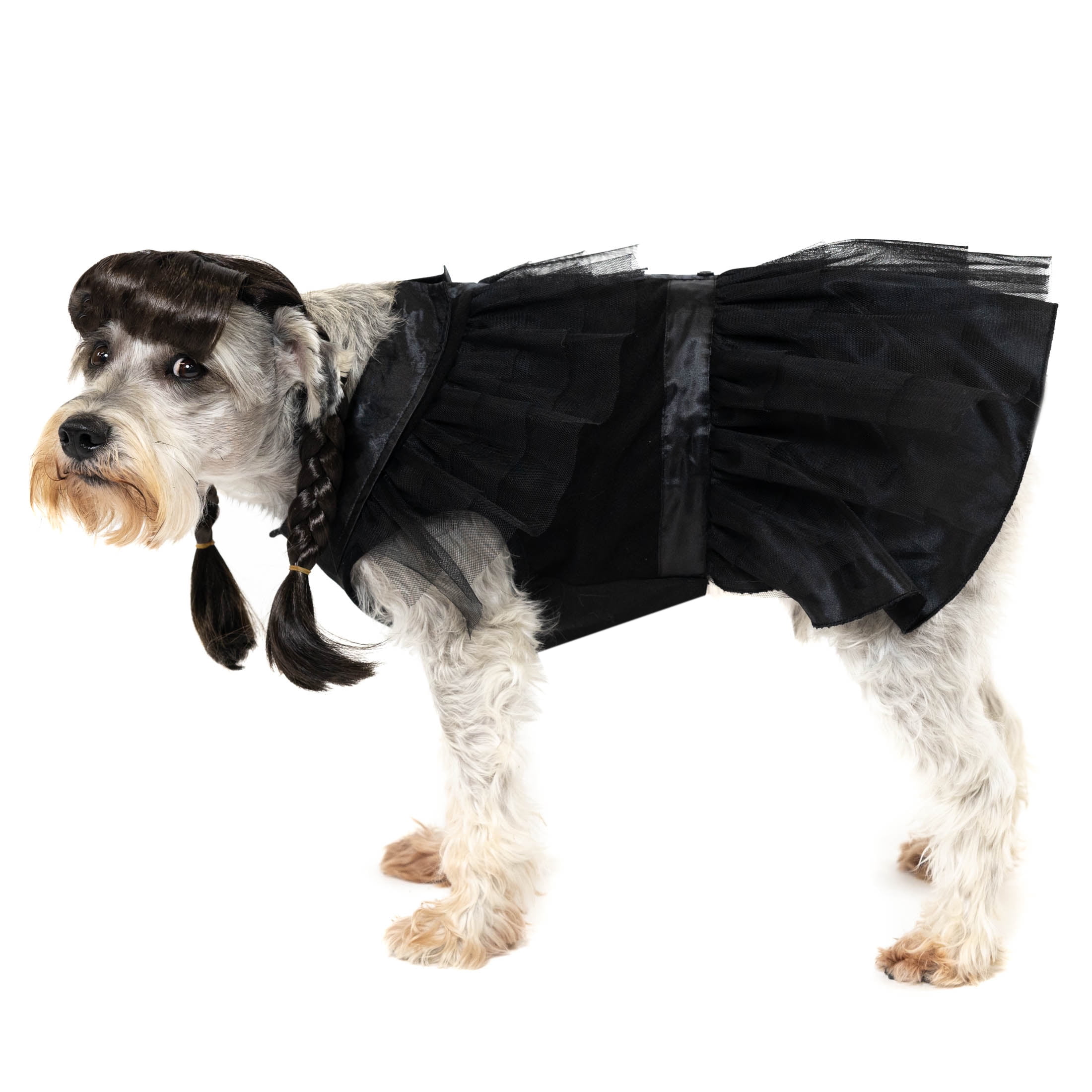 Vibrant Life Halloween Dog Costume and Cat Costume: Gothic Chic, Size ...