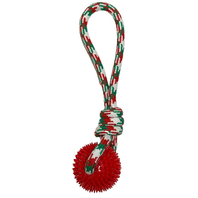 Vibrant Life Holiday Red, Green and White Rope with Red Rubber Ball Dog ...