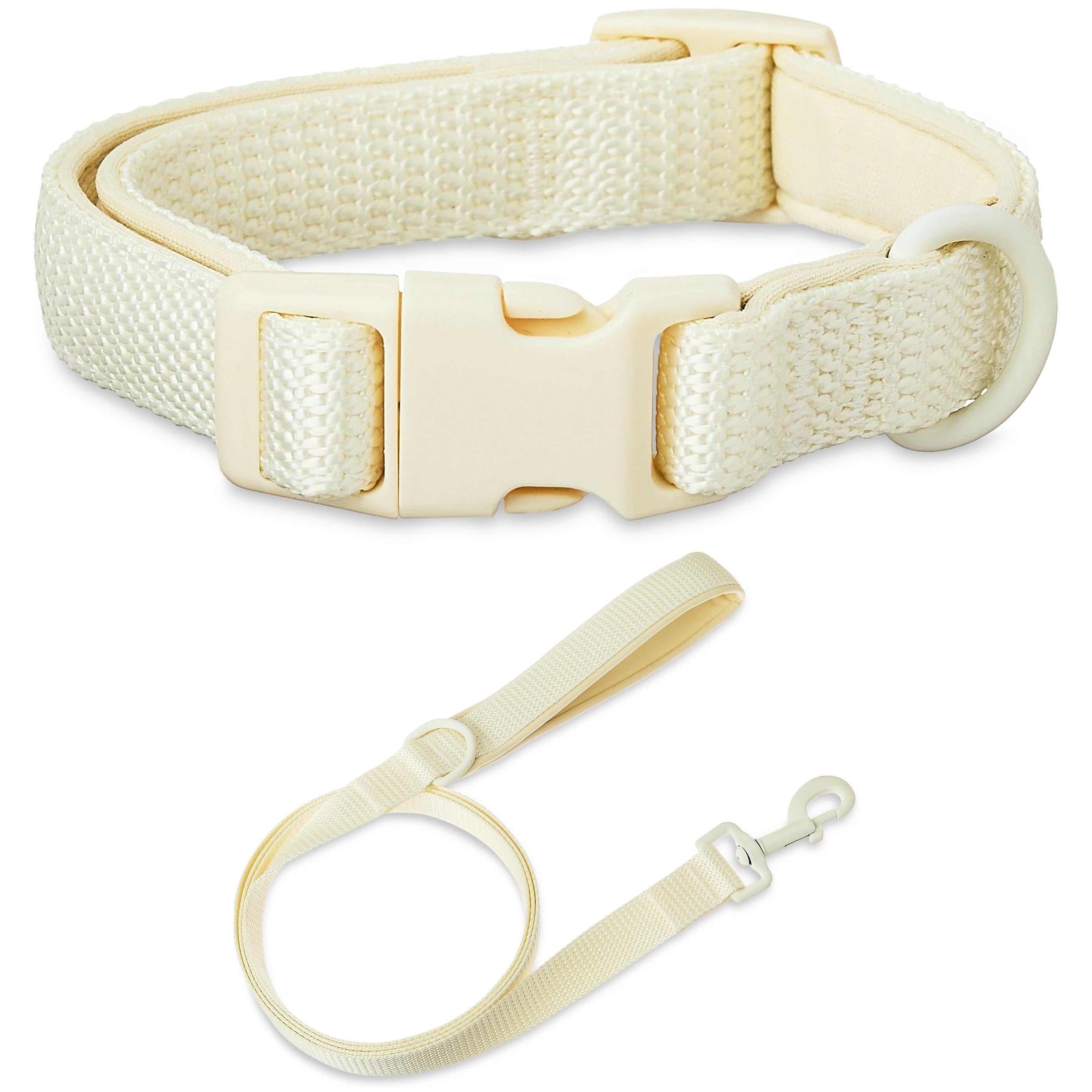 Vibrant Life Neoprene Cushioned Adjustable Dog Collar Small and 6ft ...