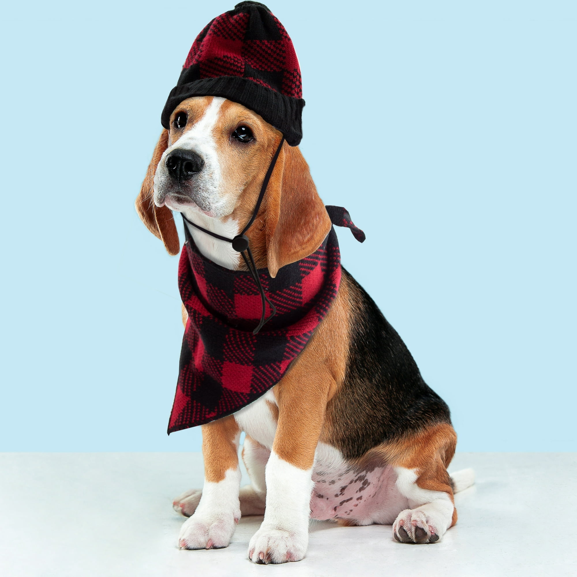 Vibrant Life Pet Beanie Hat and Bandana Set for Dogs and Cats: Red and ...