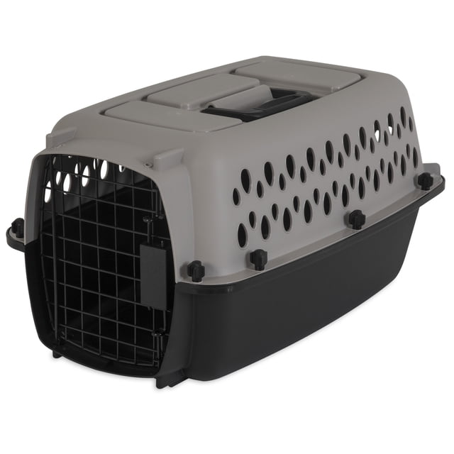 Vibrant Life Extra Small Plastic Hard-Sided Pet Carrier, Black and Gray ...