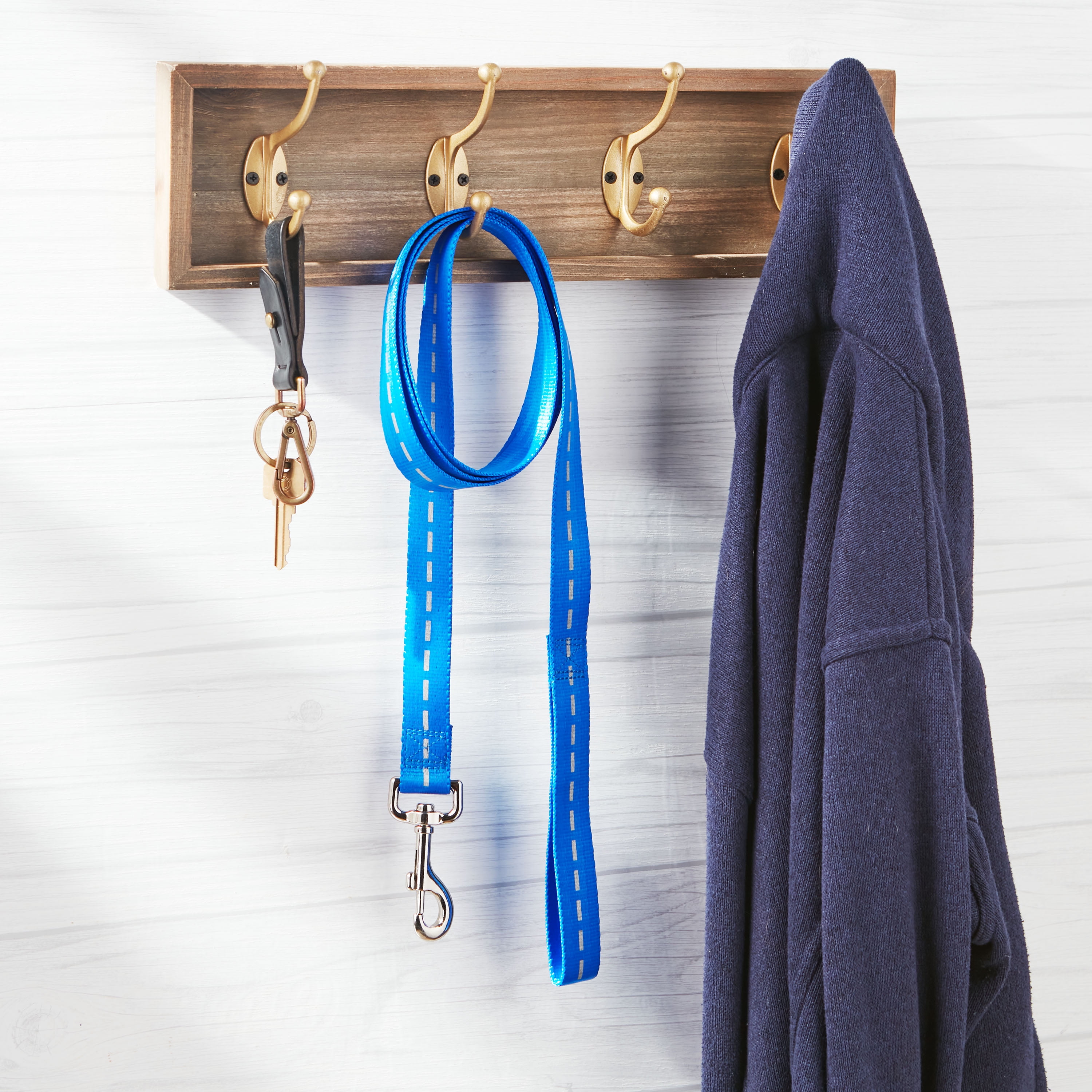 Vibrant Life Reflective Polyester Dog Leash, Blue, Small, 5 feet ...