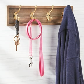 Vibrant Life 4' Polyester Standard Dog Leash, Coral - Walmart.com