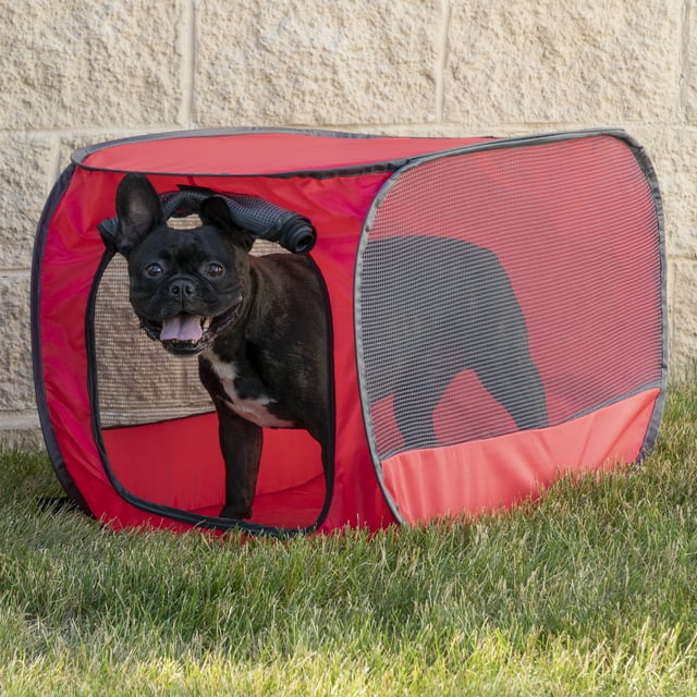 Vibrant Life Soft-Sided 32" Pop-up Mesh Dog Kennel, Red, Medium ...