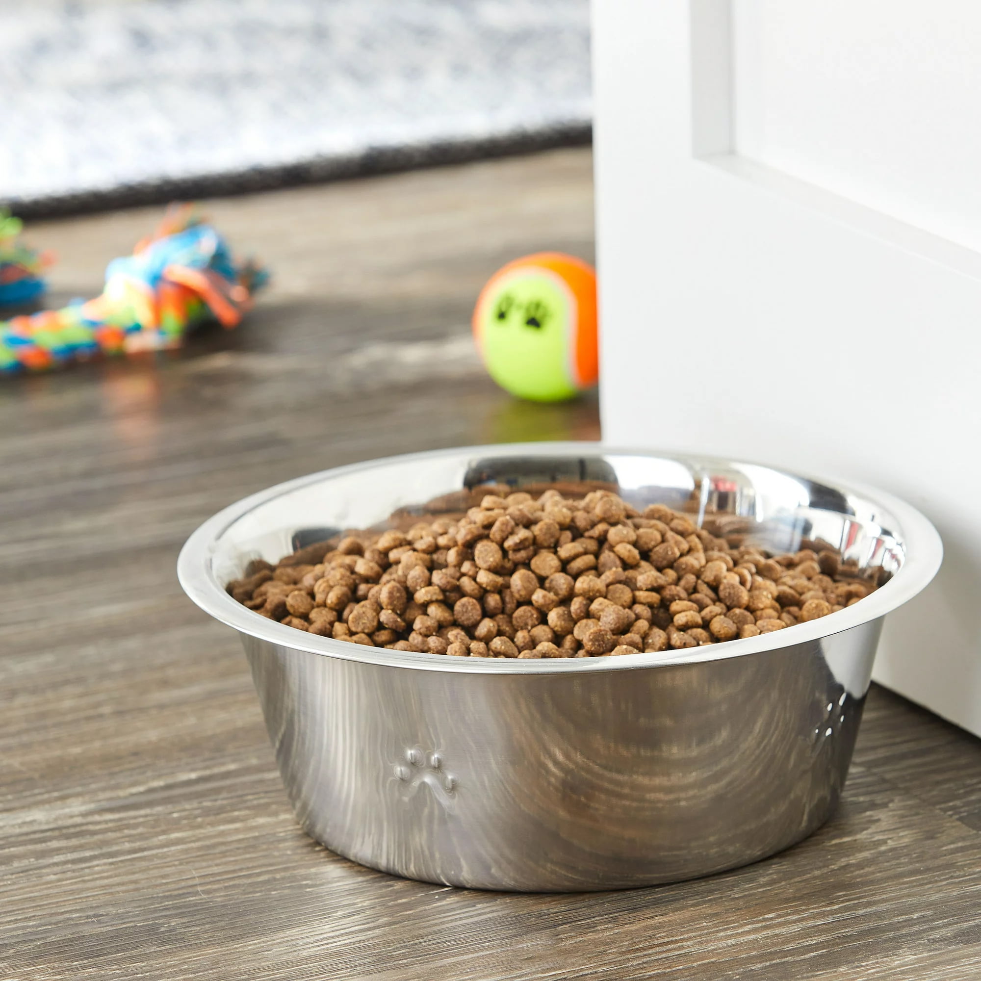 Vibrant Life Stainless Steel Paw Embossed Dog Bowl, Xtra Small ...