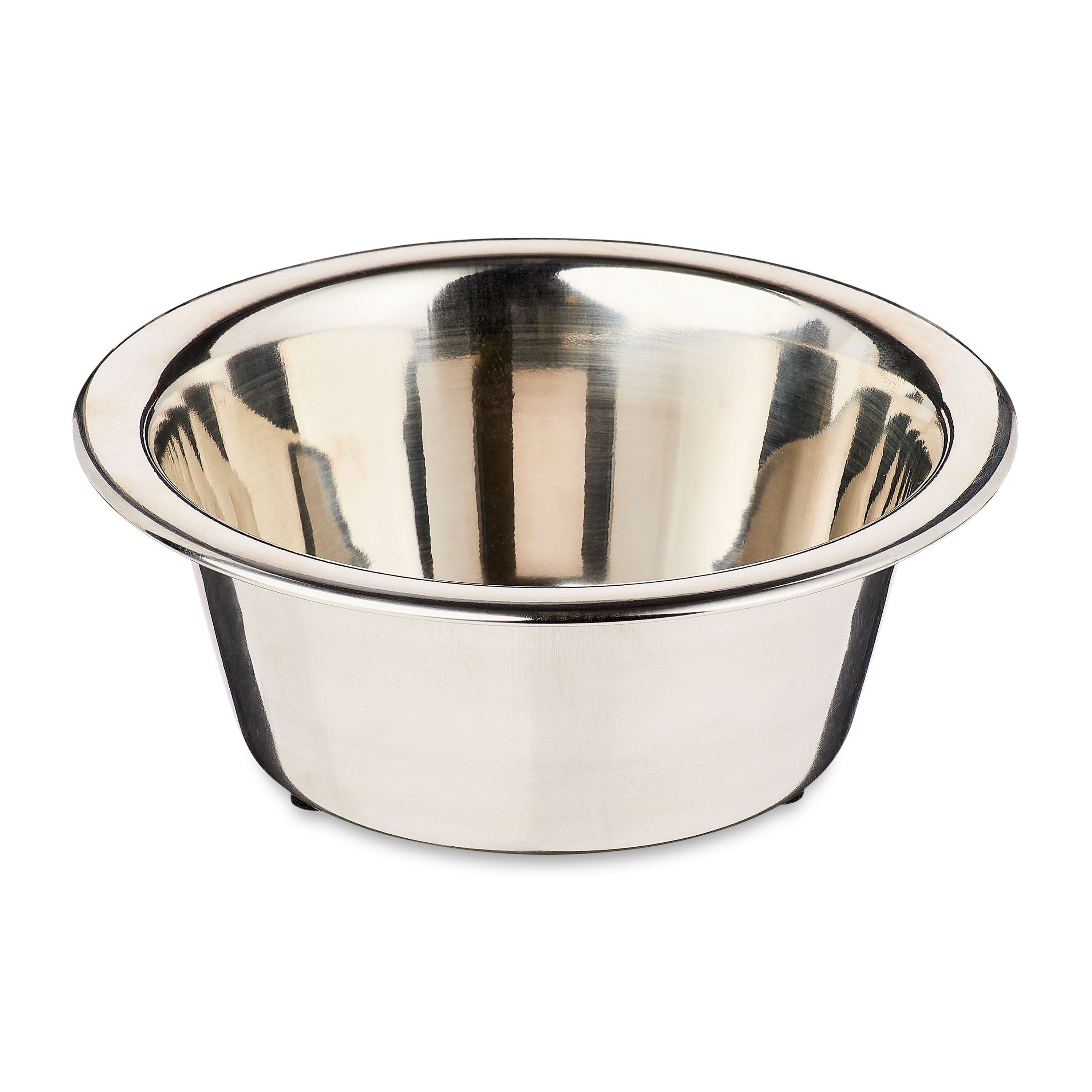 Vibrant Life Stainless Steel Dog Bowl 12 fl oz Food and Water Dish for ...
